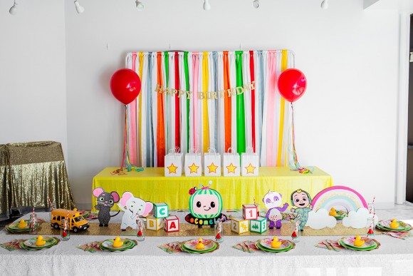 Cocomelon Custom Theme Party – South Play