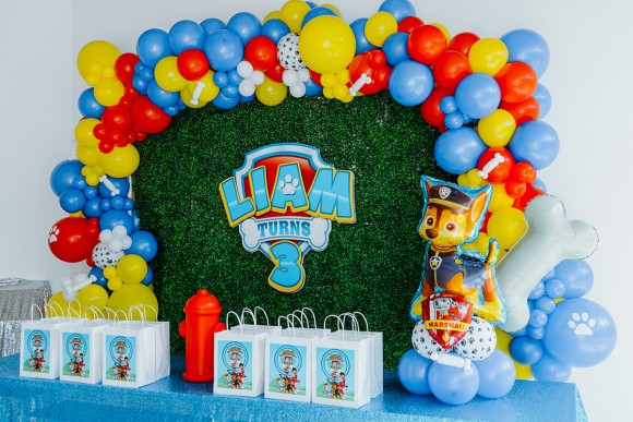 PAW Patrol Custom Theme Party – South Play